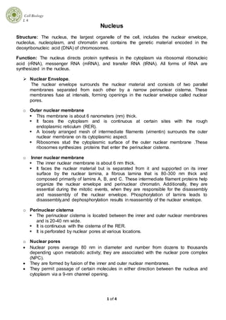 Nucleus | DOC | Biological Sciences | Science