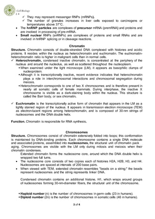 Nucleus | DOC | Biological Sciences | Science