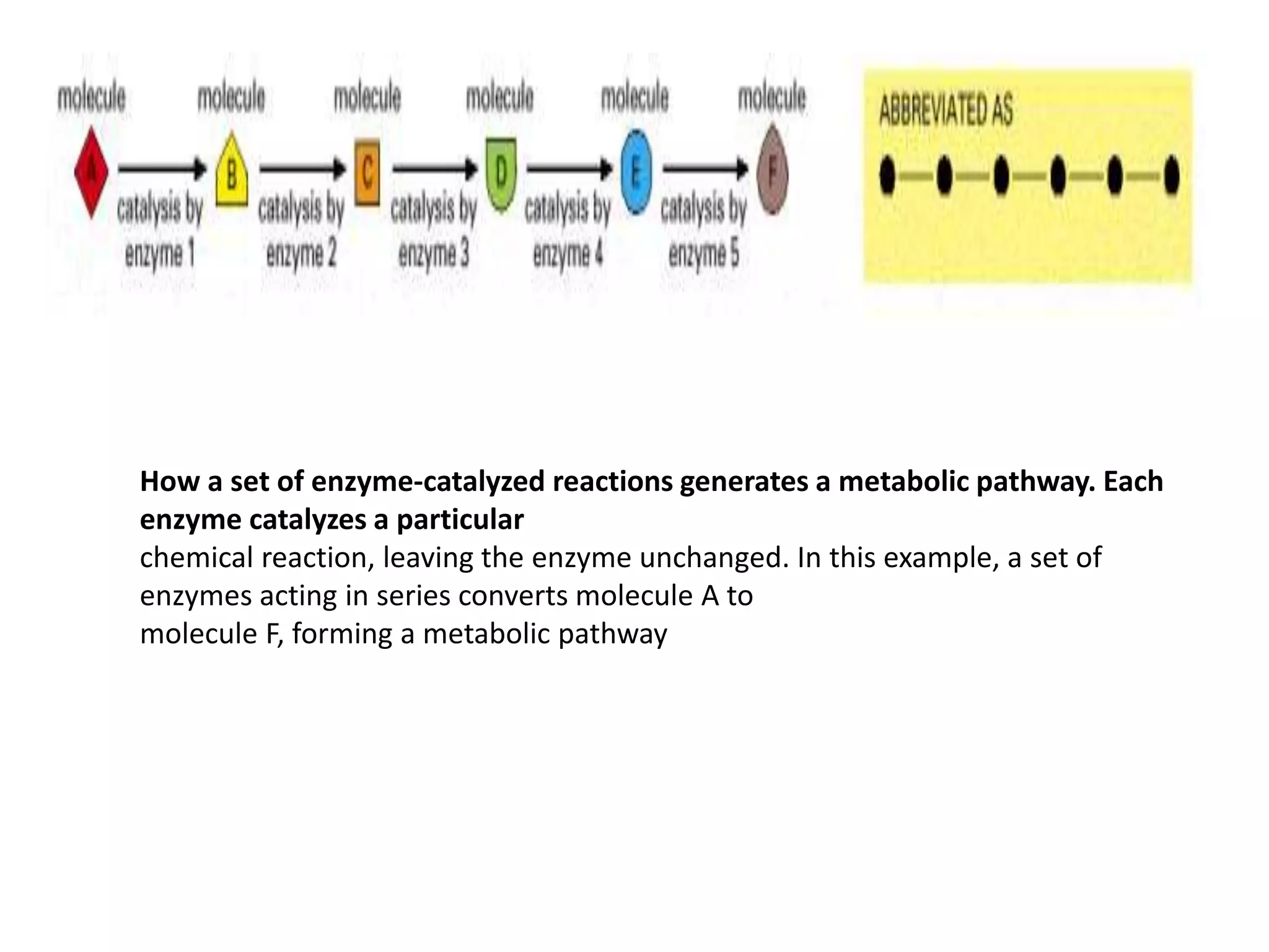 4 cell chemistry and biosynthesis | PPTX