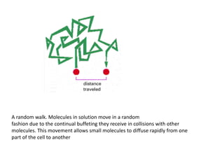 4 cell chemistry and biosynthesis | PPTX