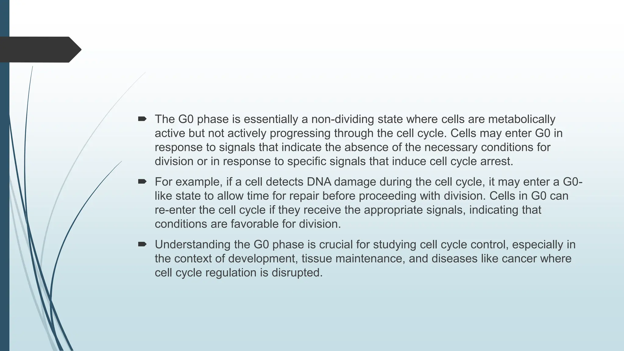 CELL DIVISION notes revised complete.pptx
