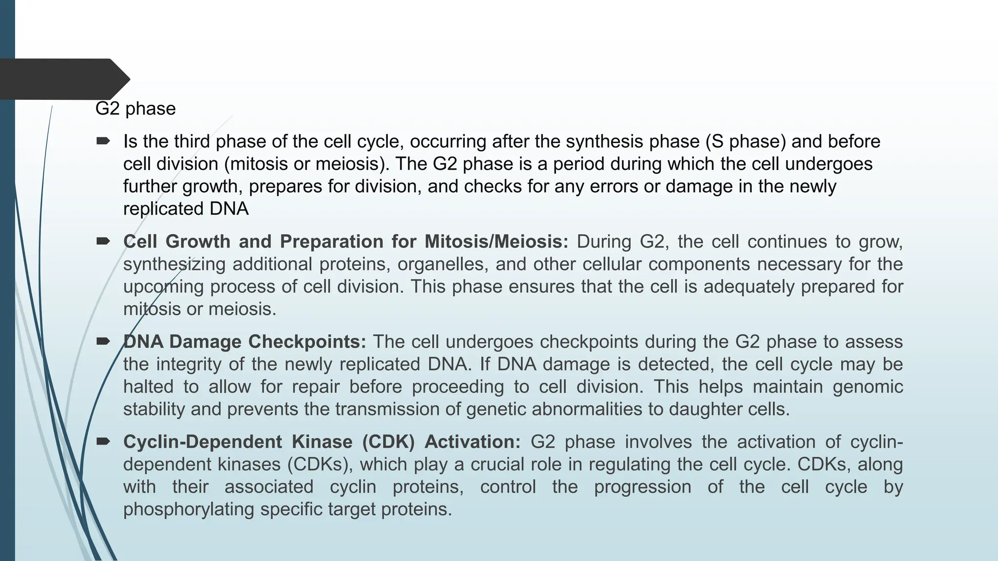 CELL DIVISION notes revised complete.pptx