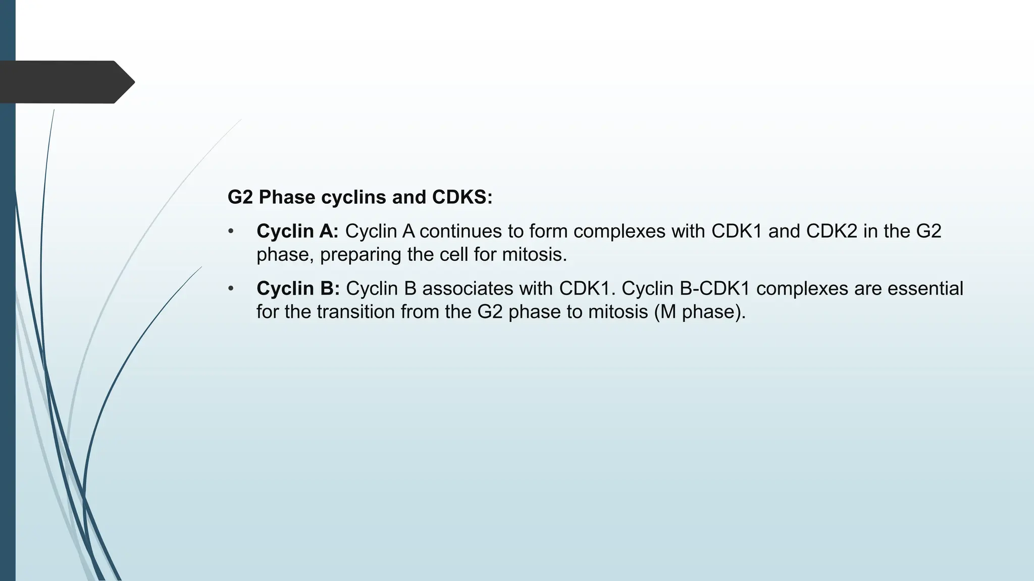 CELL DIVISION notes revised complete.pptx