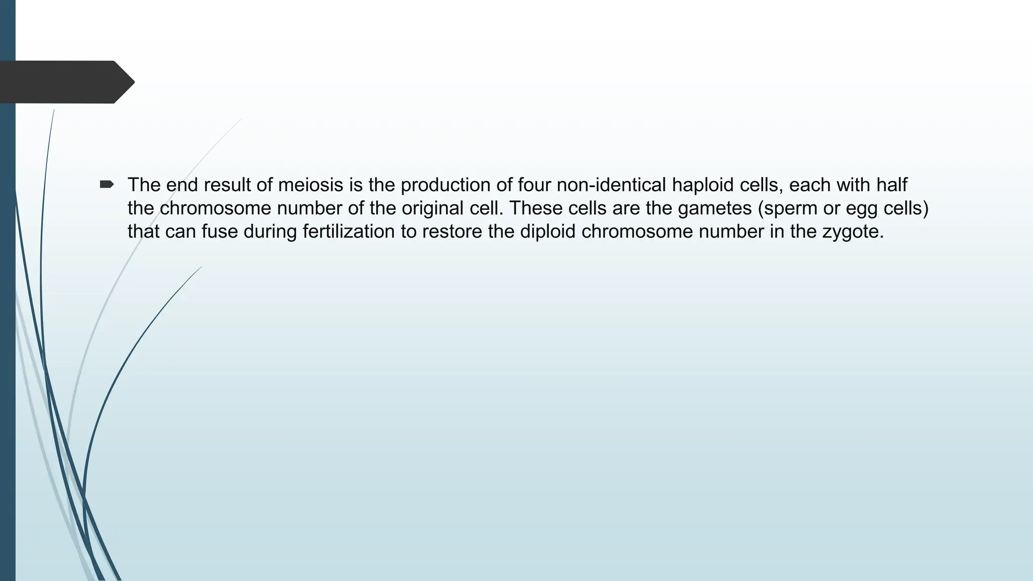 CELL DIVISION notes revised complete.pptx