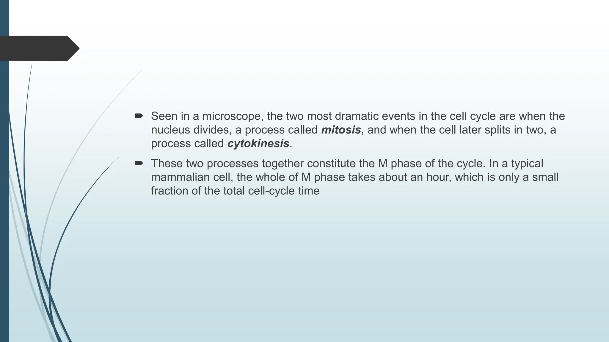 CELL DIVISION notes revised complete.pptx