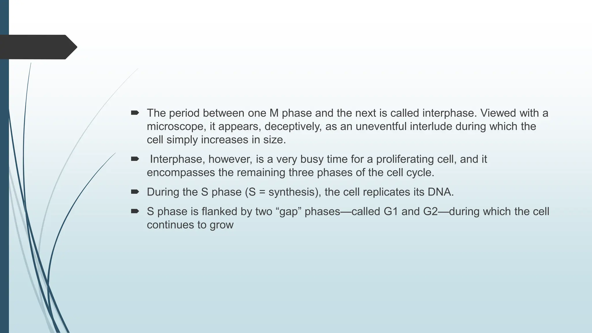 CELL DIVISION notes revised complete.pptx