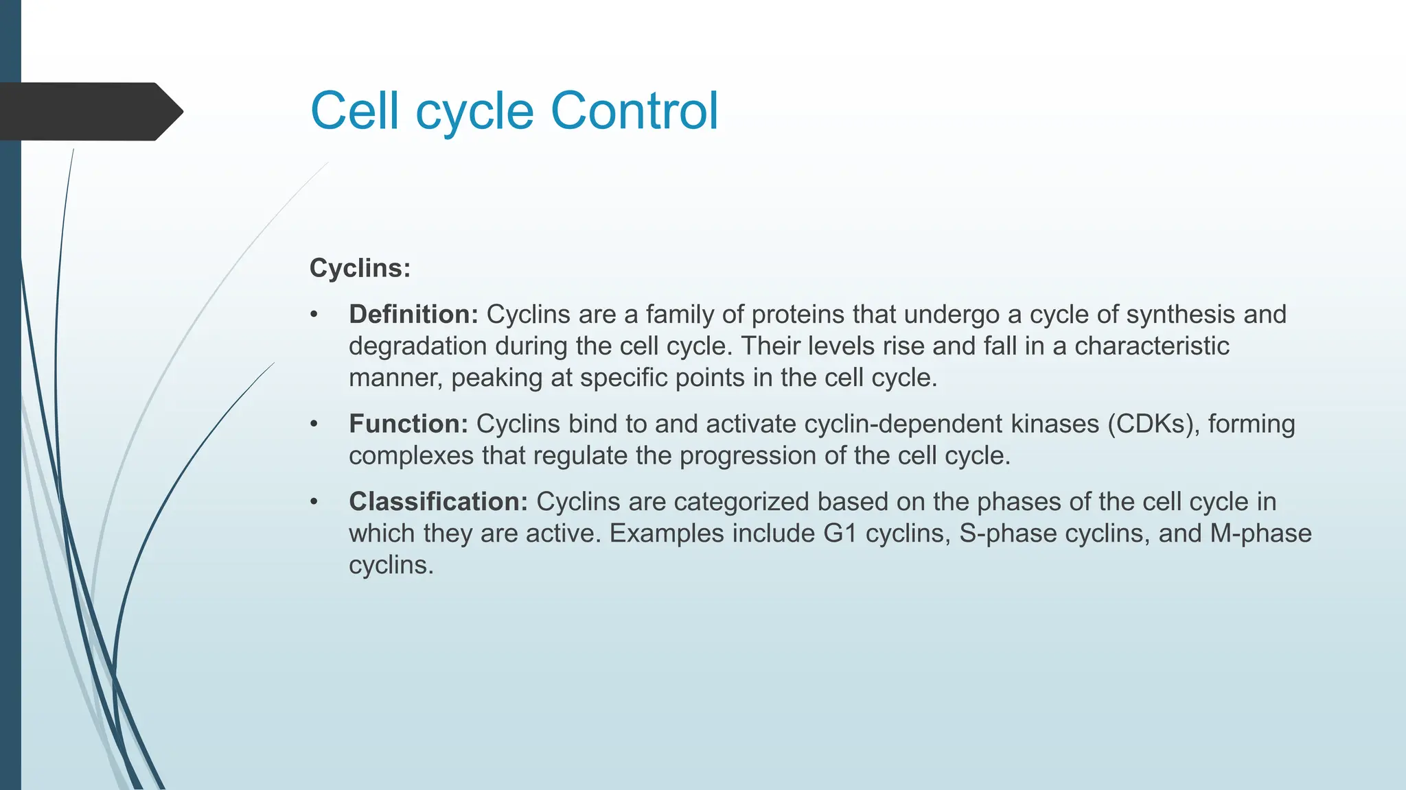 CELL DIVISION notes revised complete.pptx