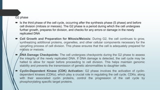 CELL DIVISION notes revised complete.pptx