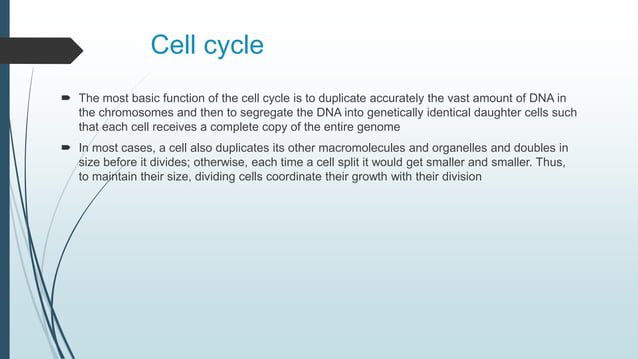 CELL DIVISION notes revised complete.pptx