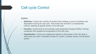 CELL DIVISION notes revised complete.pptx
