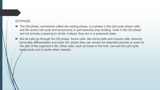 CELL DIVISION notes revised complete.pptx
