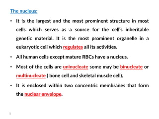 نسخة ‏4 Cell organelles structure functions part II 2.pdf