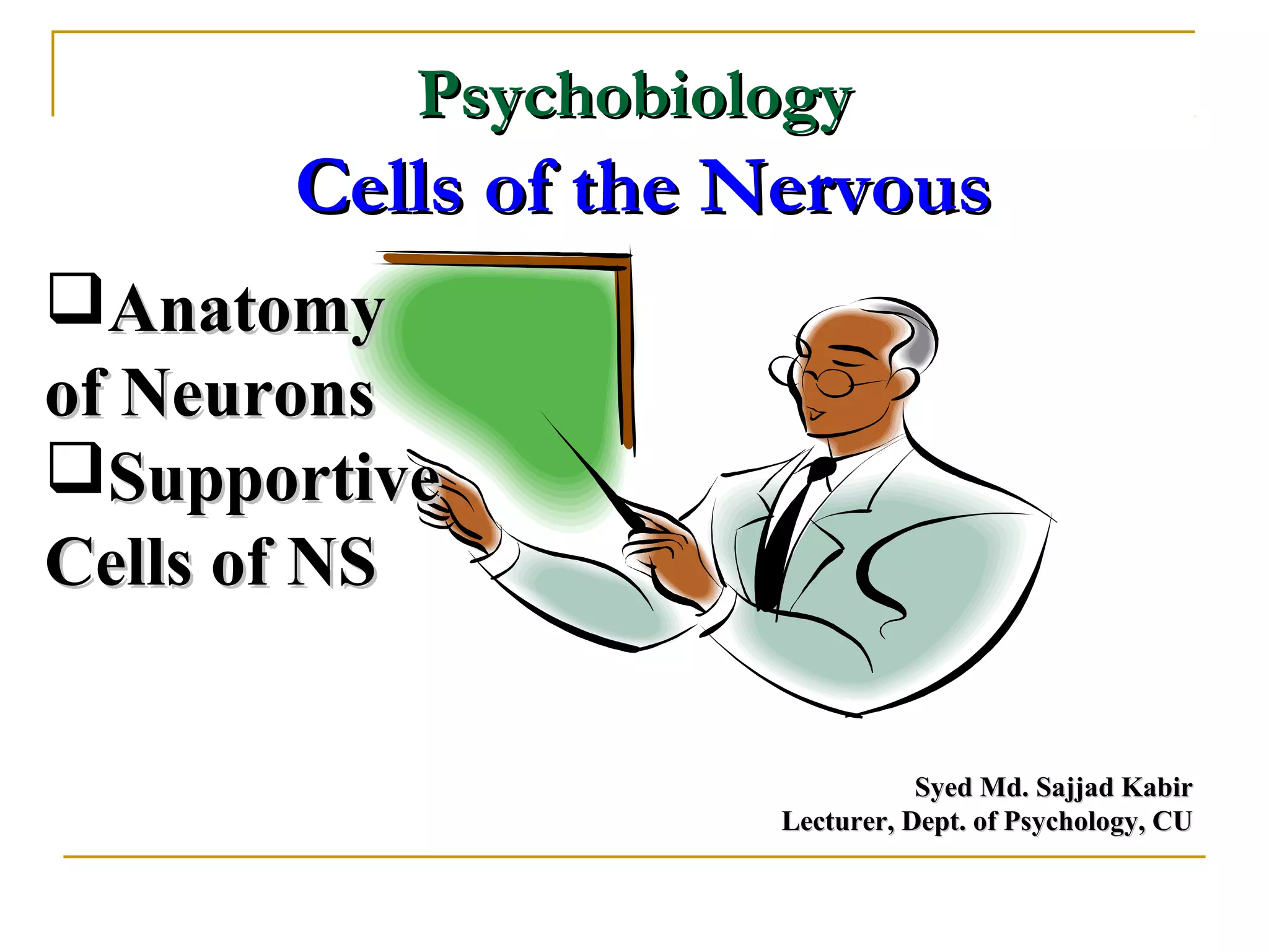 Cells of Neuron | PPT