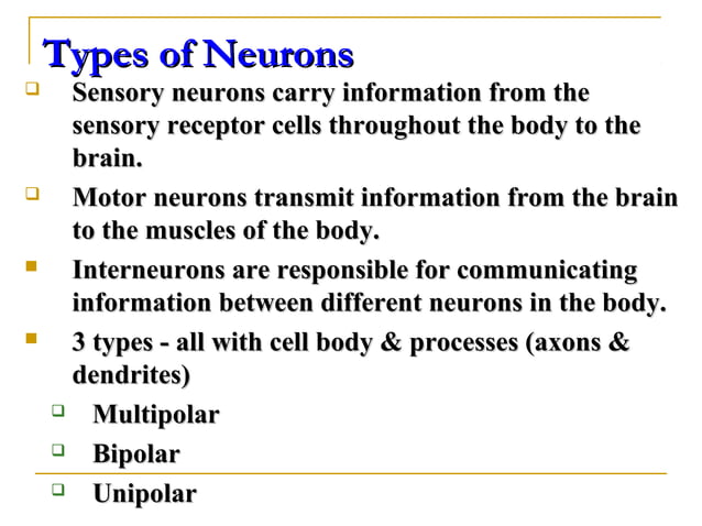Cells of Neuron | PPT