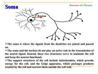 Cells of Neuron | PPT