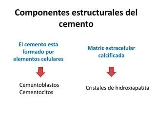 4 Cemento, características, funciones, partes. UNSIS | PPTX