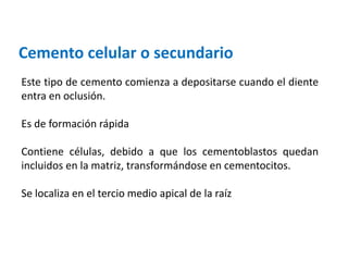 4 Cemento, características, funciones, partes. UNSIS | PPTX