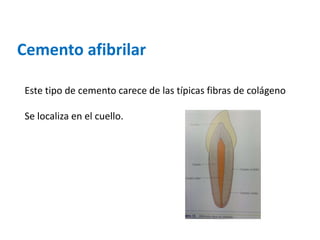 4 Cemento, características, funciones, partes. UNSIS | PPTX