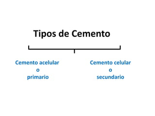 4 Cemento, características, funciones, partes. UNSIS | PPT