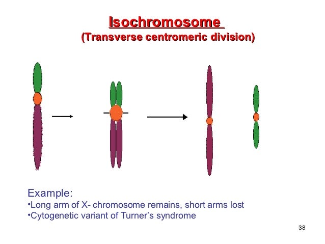 4 Chromosomal Aberrations Ks