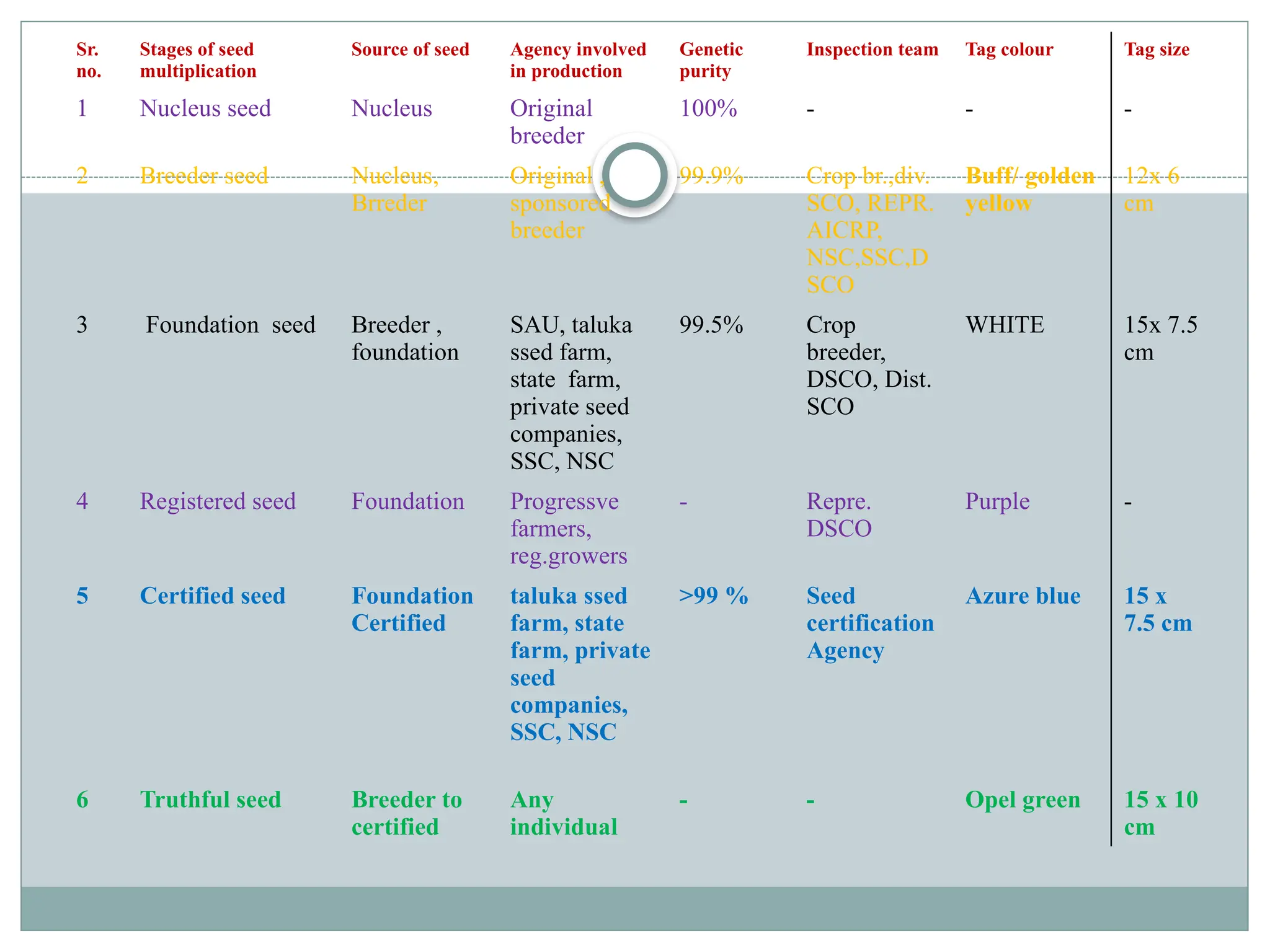 classes of seed stages of classe seed multiliction stages.pptx