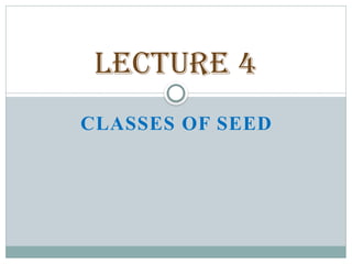 classes of seed stages of classe seed multiliction stages.pptx