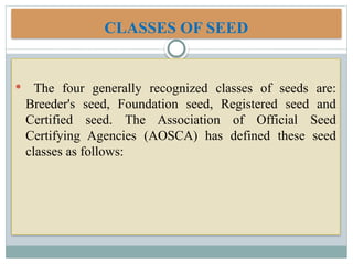 classes of seed stages of classe seed multiliction stages.pptx