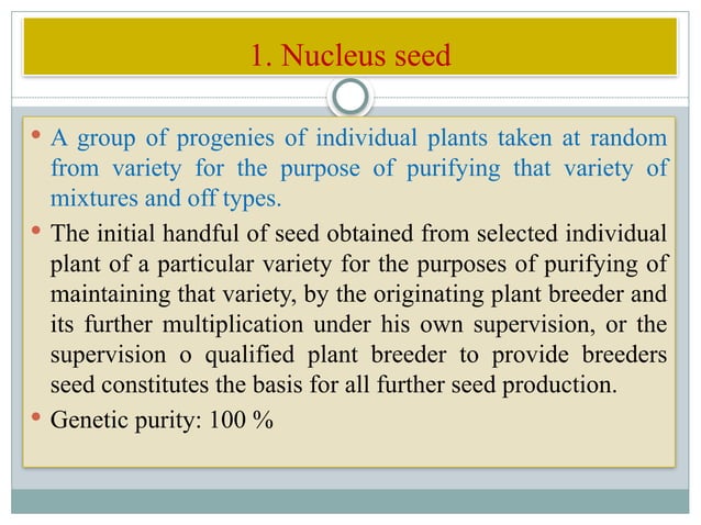 classes of seed stages of classe seed multiliction stages.pptx