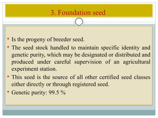 classes of seed stages of classe seed multiliction stages.pptx