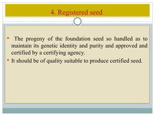 classes of seed stages of classe seed multiliction stages.pptx