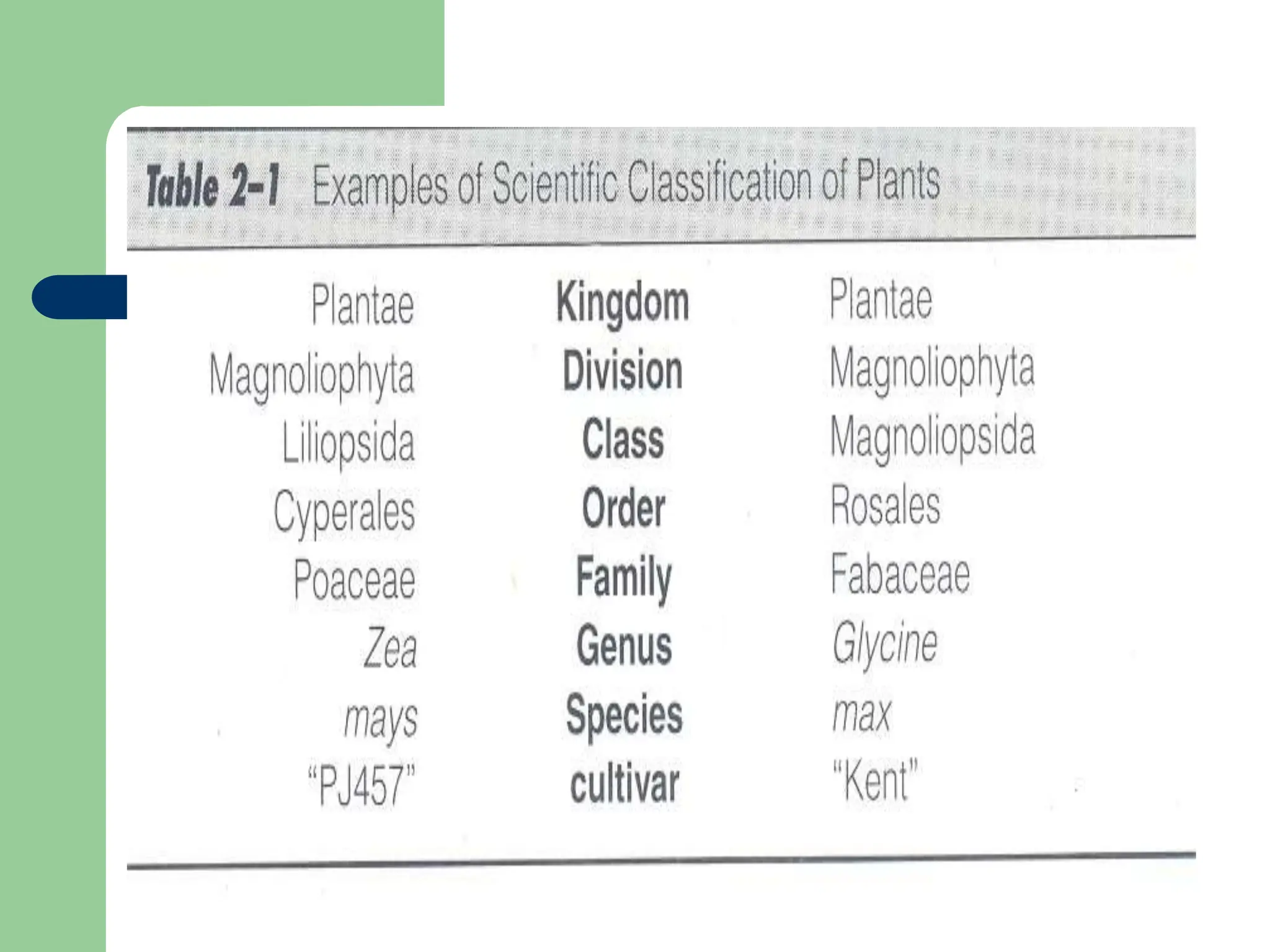4 Classification of Crop Plants.pptClassification of Crop Plants | PPT