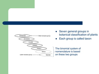 4 Classification of Crop Plants.pptClassification of Crop Plants | PPT