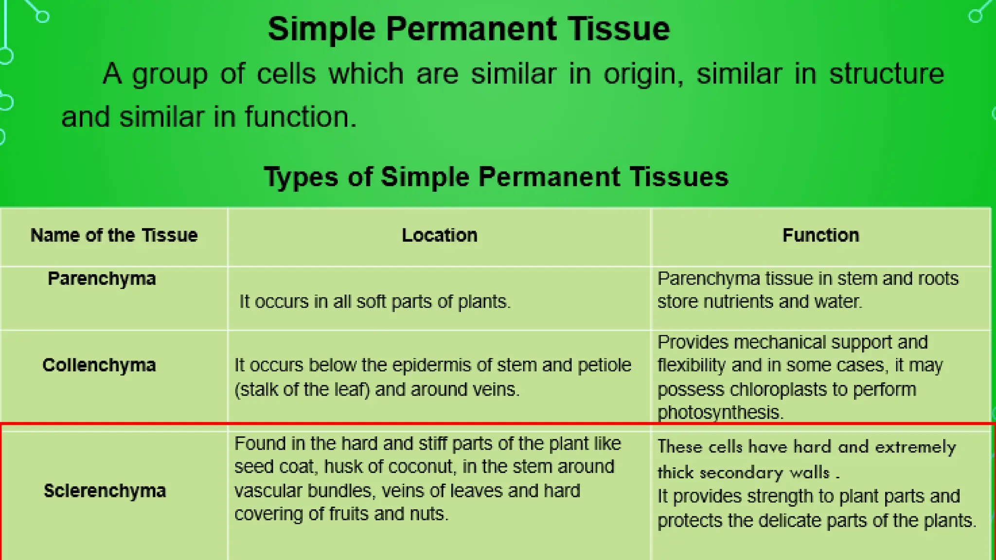 4_CLASSIFICATION_OF_DIFFERENT_CELL_TYPES_(PLANT.pptx