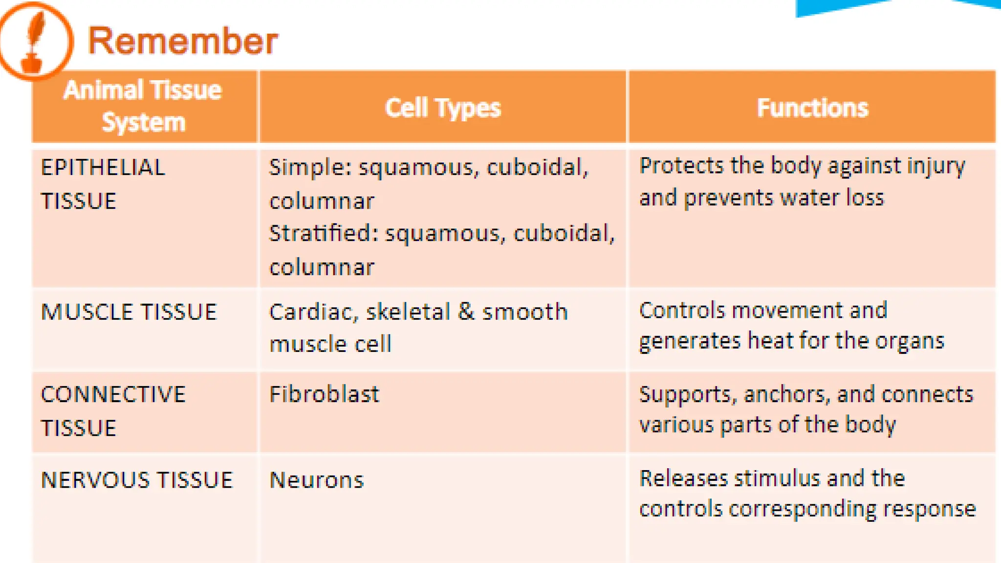 4_CLASSIFICATION_OF_DIFFERENT_CELL_TYPES_(PLANT.pptx
