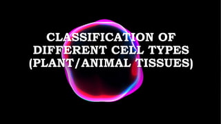 4_CLASSIFICATION_OF_DIFFERENT_CELL_TYPES_(PLANT.pptx