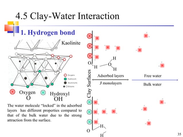 4 clay minerals and soil structure | PPT