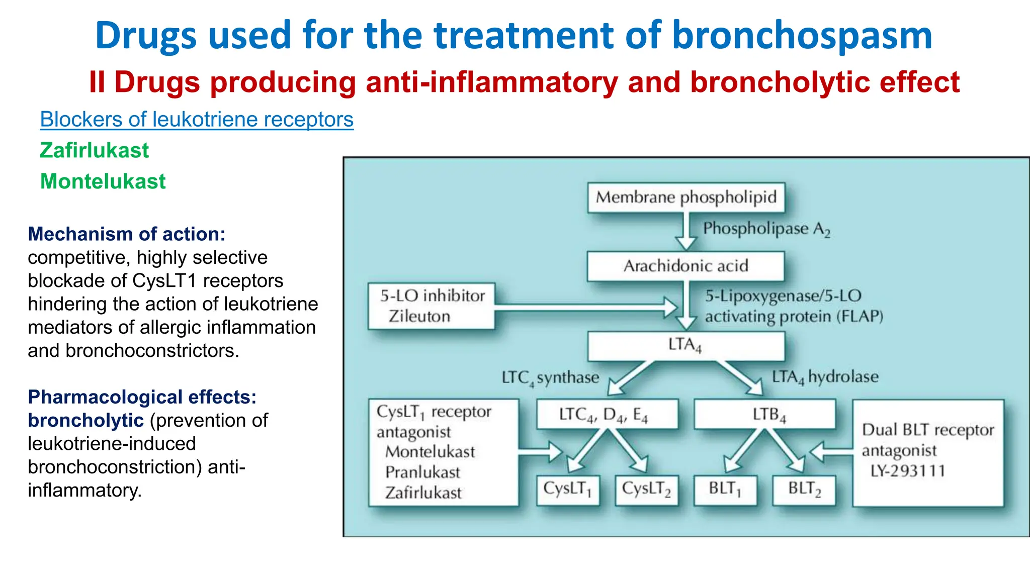 Drugs_affecting_the_Respiratory_System.pptx