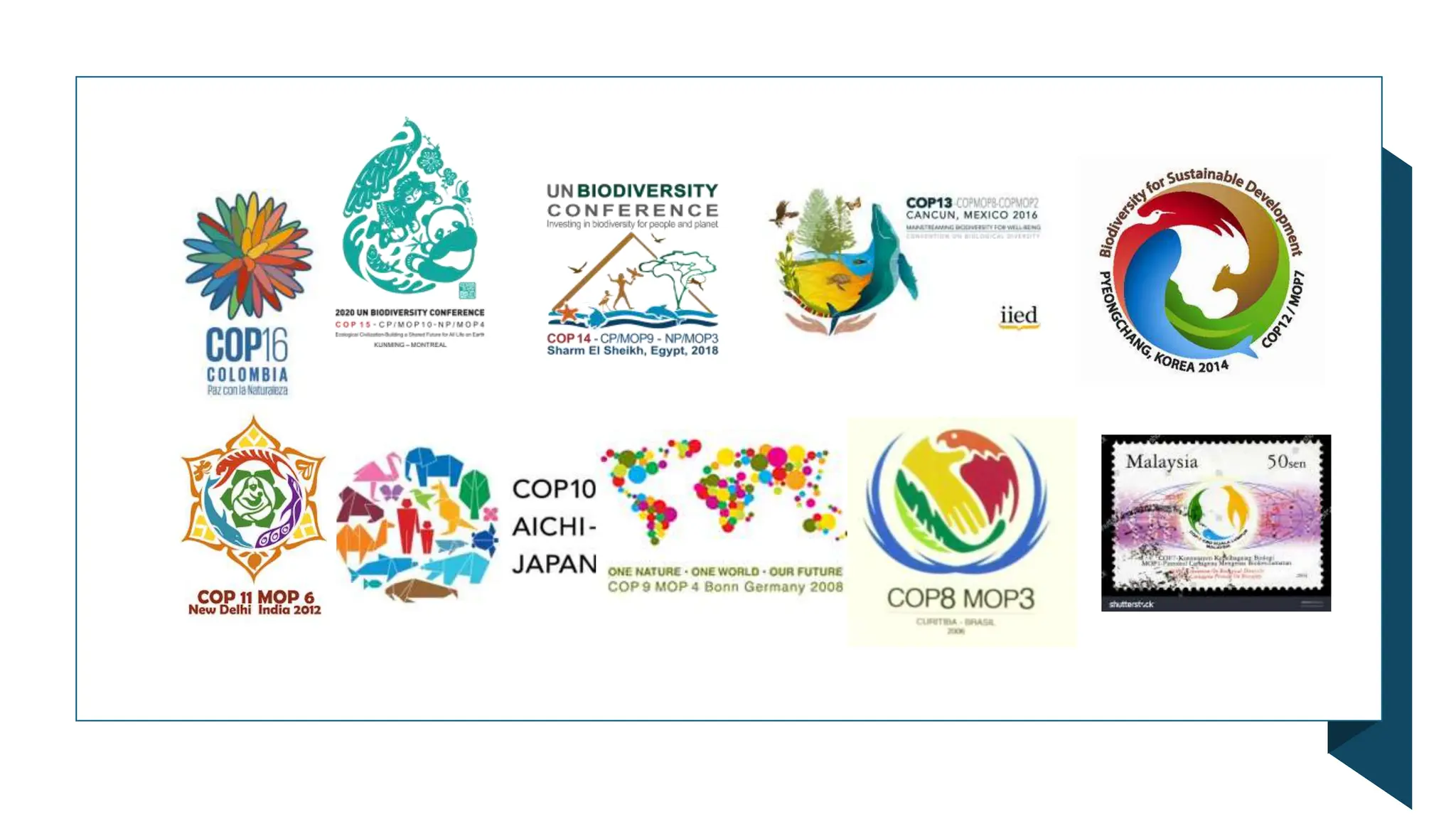 Biodiversity in CEE countries CBD challenges and opportunities for ...