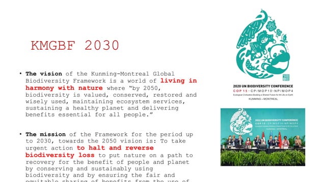 Biodiversity in CEE countries CBD challenges and opportunities for ...