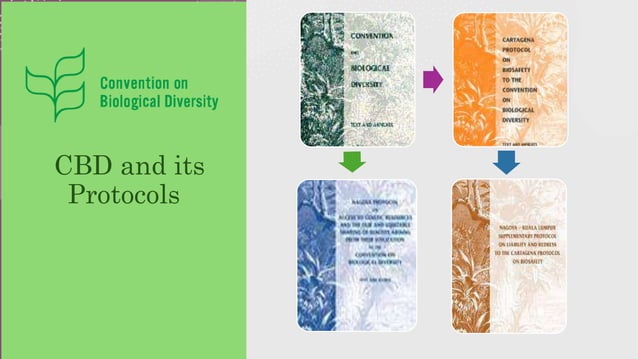 Biodiversity in CEE countries CBD challenges and opportunities for ...