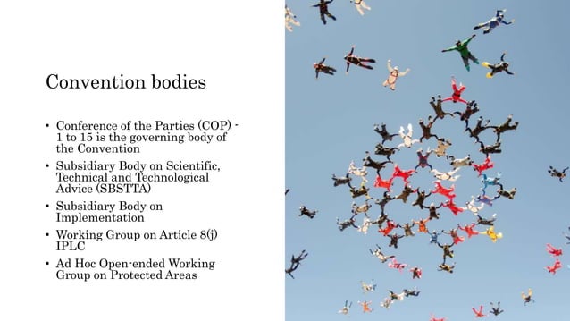 Biodiversity in CEE countries CBD challenges and opportunities for ...