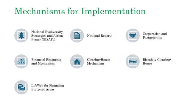 Biodiversity in CEE countries CBD challenges and opportunities for ...