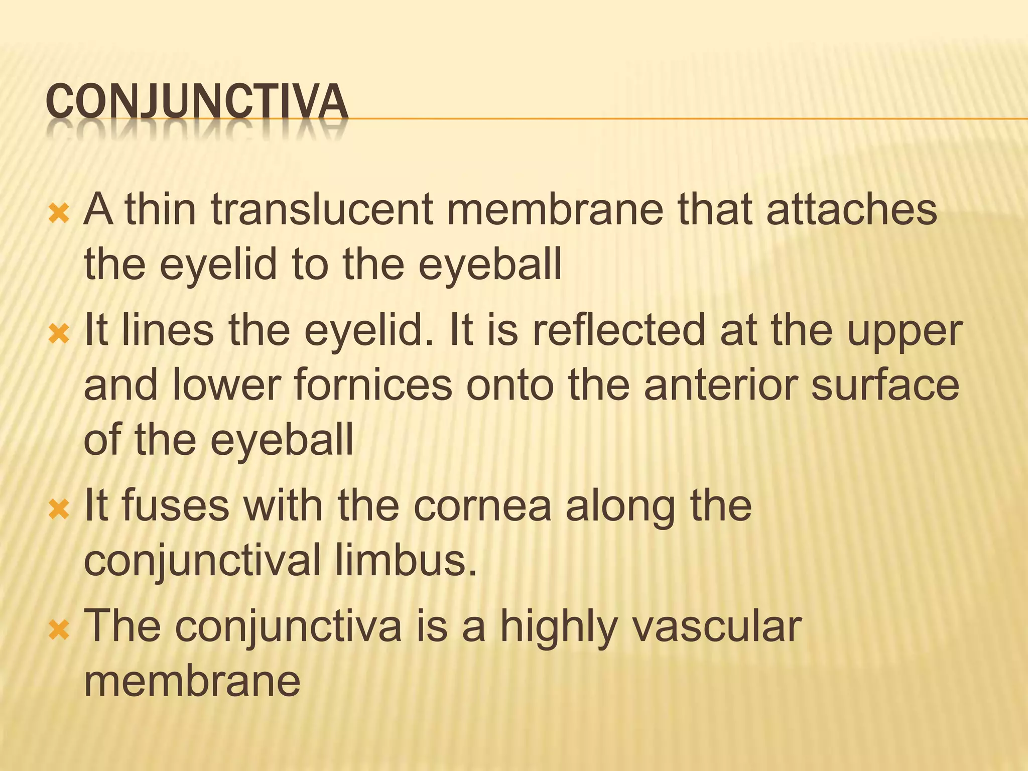 4 Conjunctival disorders Oghre.pptx