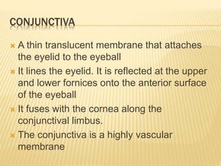 4 Conjunctival disorders Oghre.pptx