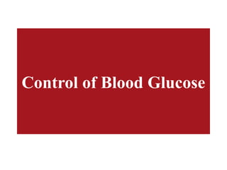 4aesrdtfygujiopkojifydtr control of blood glucose.pptx