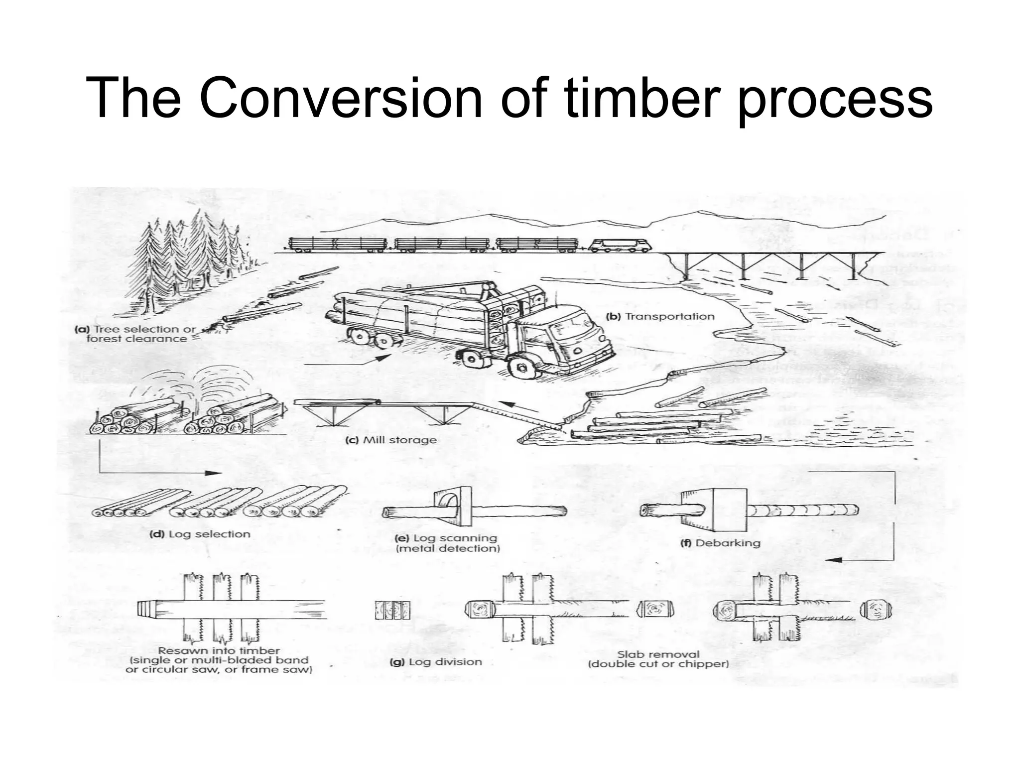 4 conversion of_timber | PPT