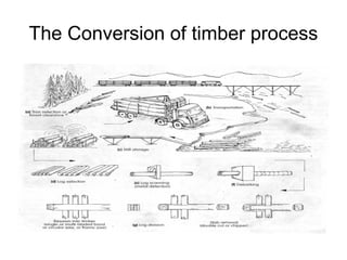 4 conversion of_timber | PPT