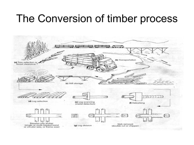 4 conversion of_timber | PPT | Woodworking | Arts and Crafts