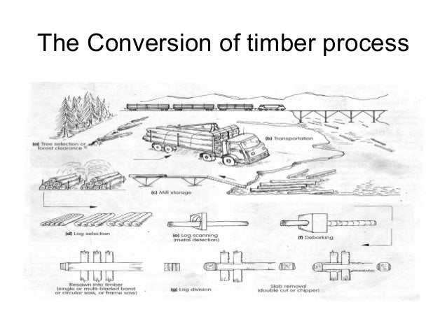 4 conversion of_timber
