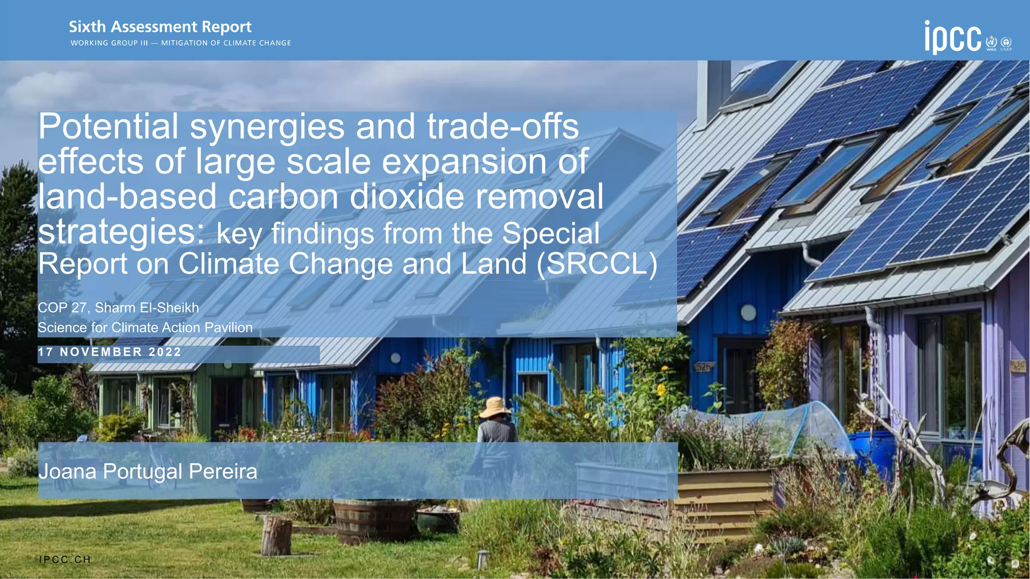 Potential synergies and trade-offs effects of large scale expansion of ...